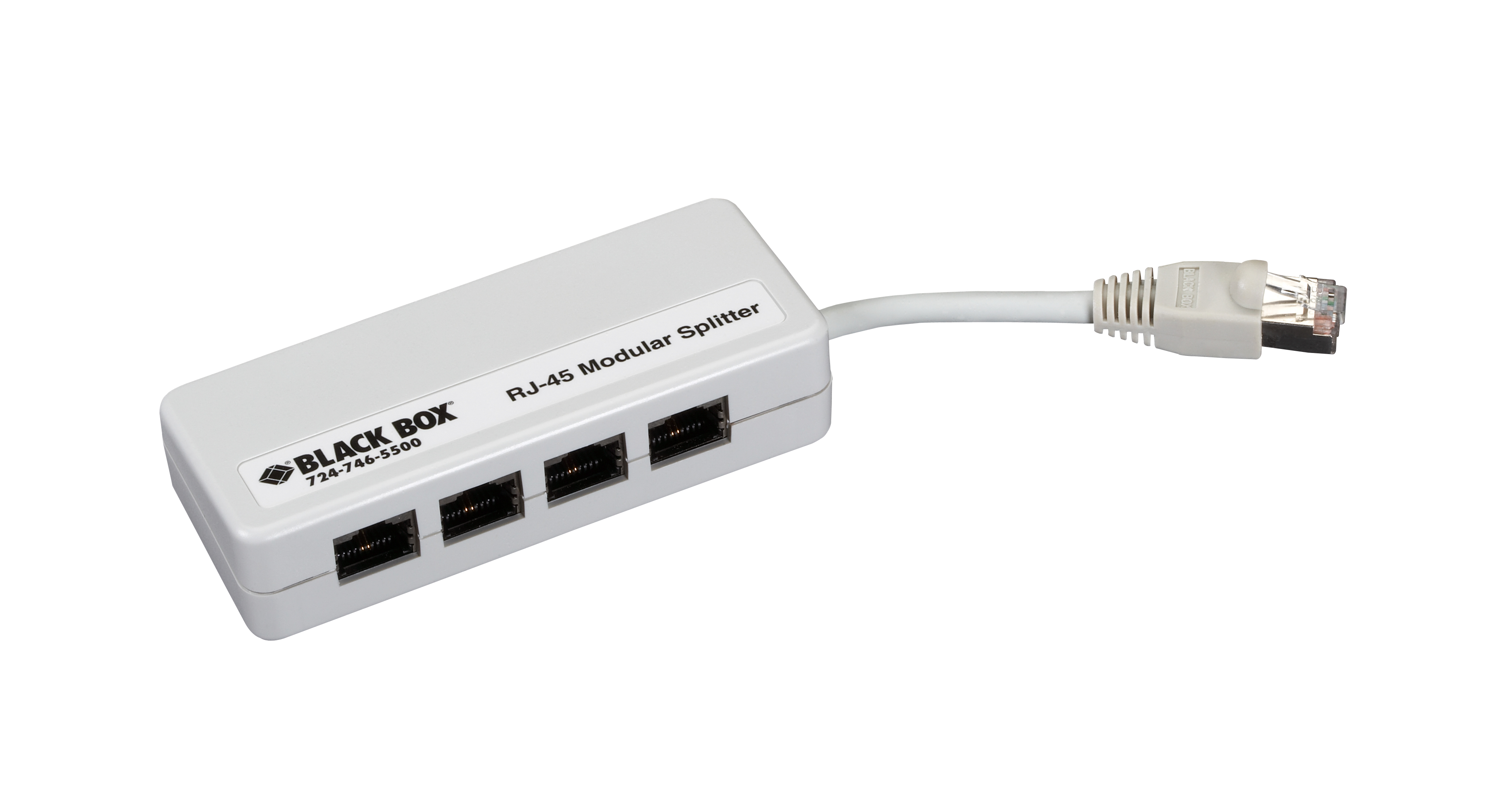 RJ45 Modular Splitter - (1) RJ45 to (4) RJ45 | Black Box